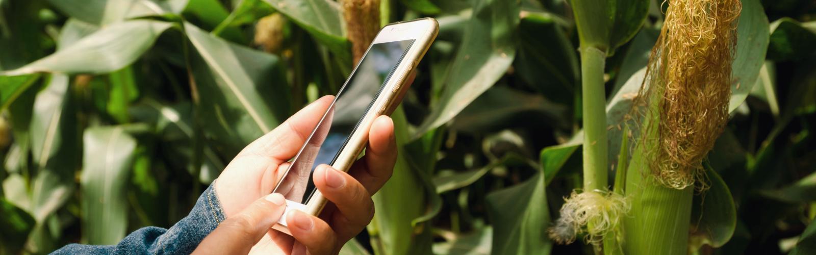 Conducting MEL with digital agriculture service providers – lessons ...