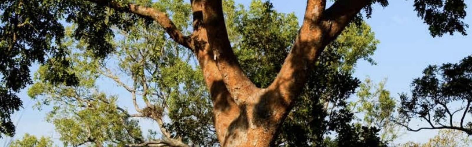 Scoping Study on Evaluation of Natural Resource Management ...