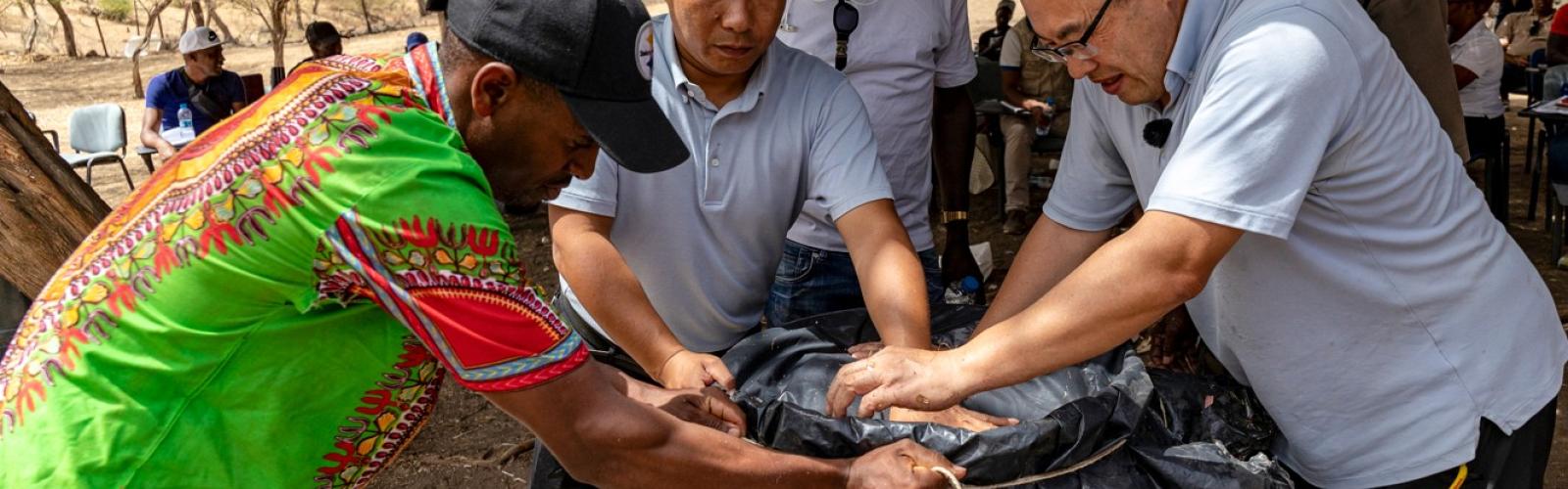 EvalforEarth Discussion Summary:Maximizing the Impact of South-South and Triangular Cooperation ...