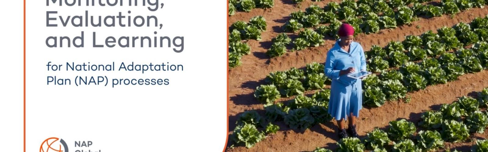 NAP Global Network: Online Course on Monitoring, Evaluation, and Learning for National ...