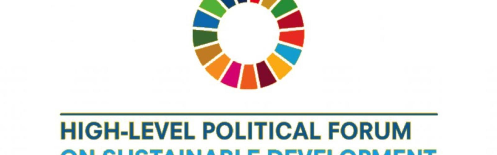 High-Level Political Forum 2025 | EvalForEarth