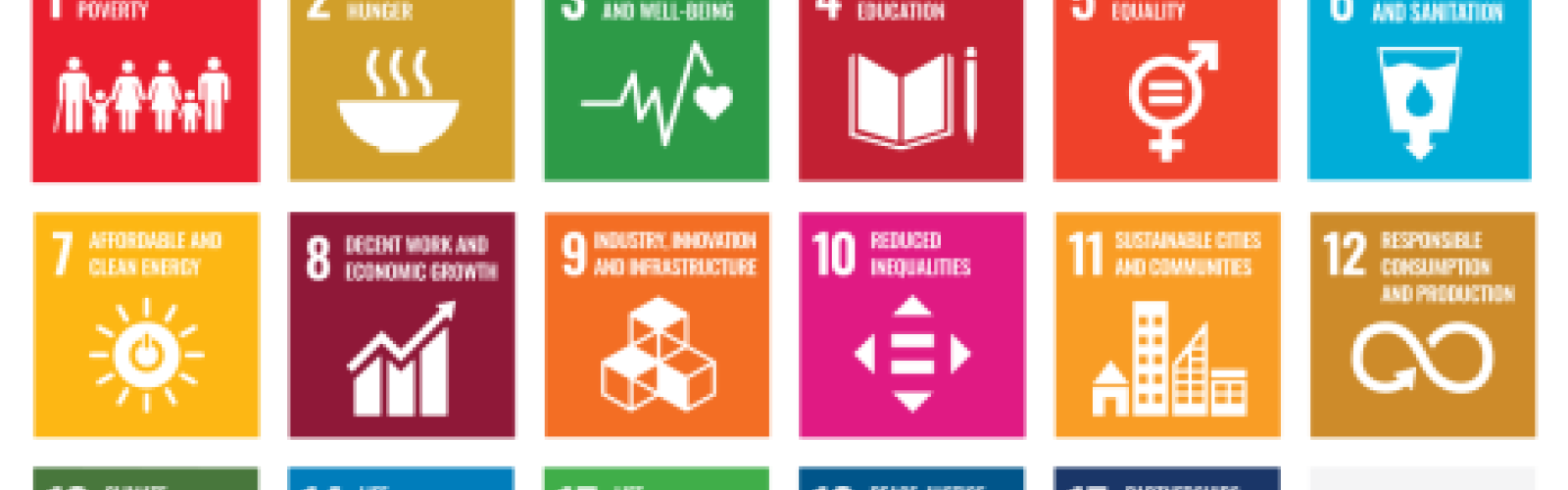 The second United Nations World Social Summit 2025 | EvalForEarth