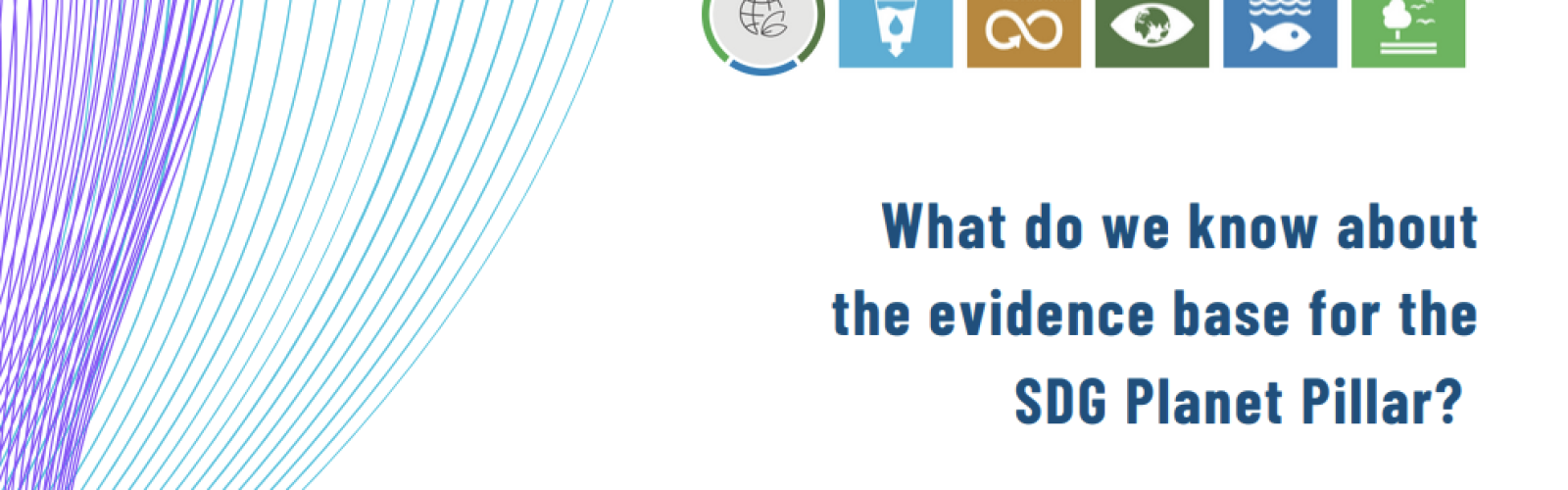 Scoping Review: What do we know about the evidence base for the SDG ...