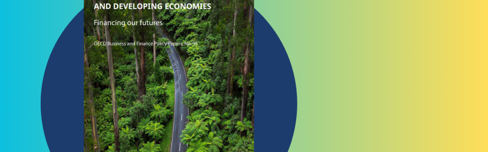OECD: Mobilising private finance for development, climate and ...