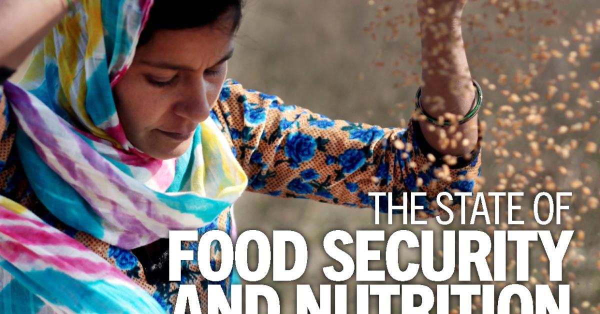 The State of Food Security and Nutrition in the World 2024 Financing to ...