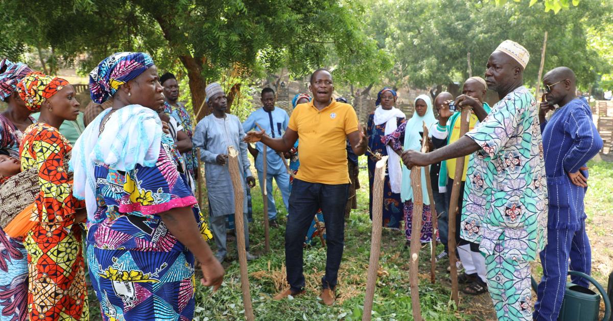 Utilizar la teoría del cambio como una herramienta poderosa para la evaluación | EvalForEarth
